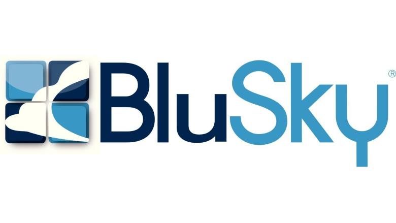 BluSky Restoration names Art Eunson COO as Part of Rapid Expansion ...
