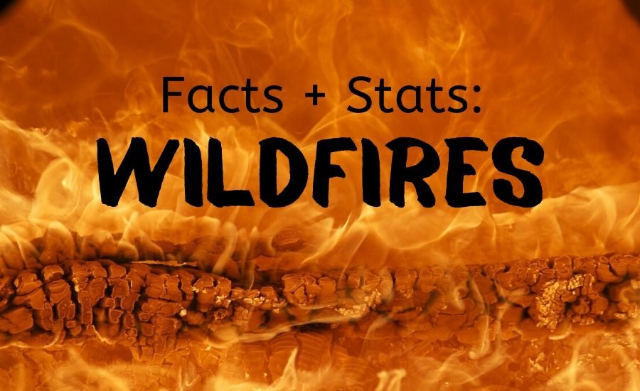Facts + Stats: Wildfires | 2019-10-28 | Restoration & Remediation Magazine