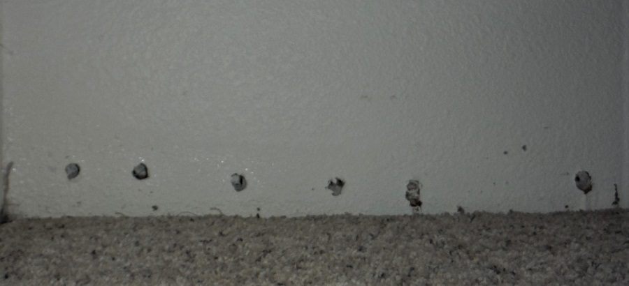 Guidelines for Wall Cavity Drying | 2019-08-23 | Restoration ...