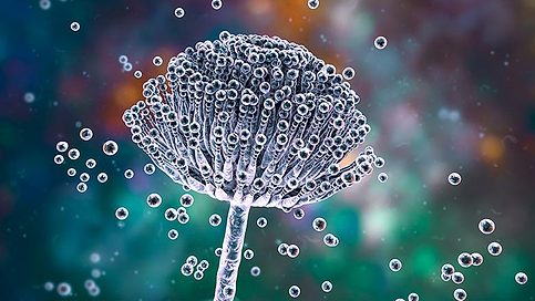 Restoration & Remediation | Bio, Disaster & Mold Recovery | Restoration ...