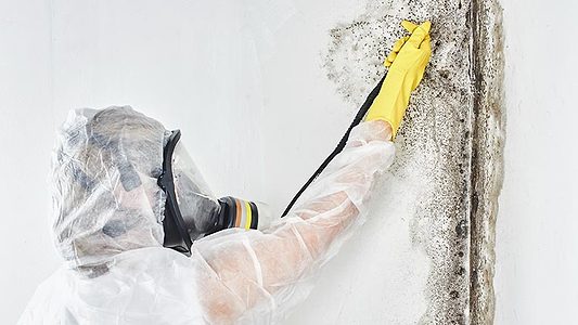 Hydroxyl Generators: The New Tool for Deodorization | 2013-11-29 ...