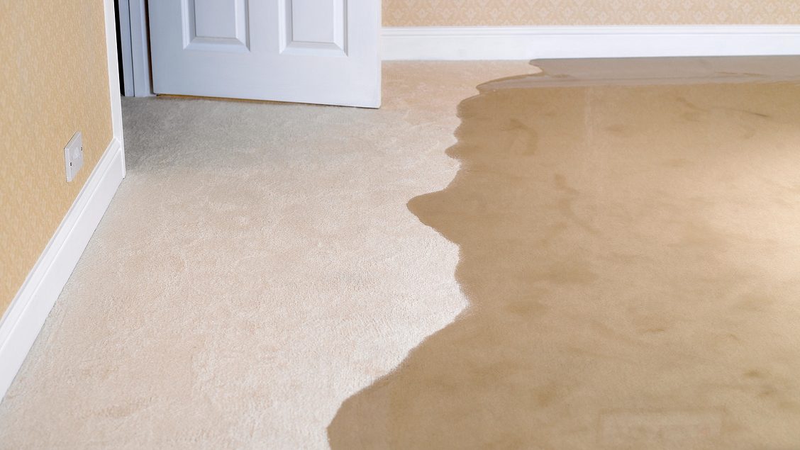 Achieving Success in Restorative Drying: Key Techniques and ...