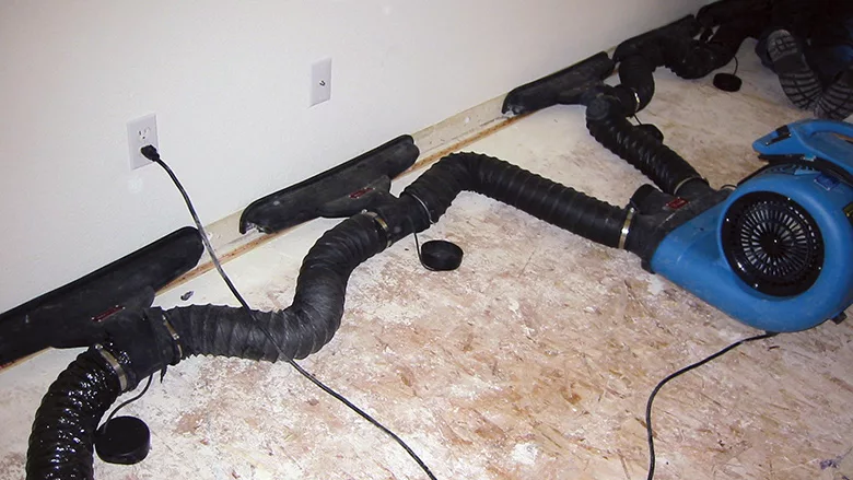 Dry or Demolish? Navigating the Complexities of Wall Cavity Restoration ...